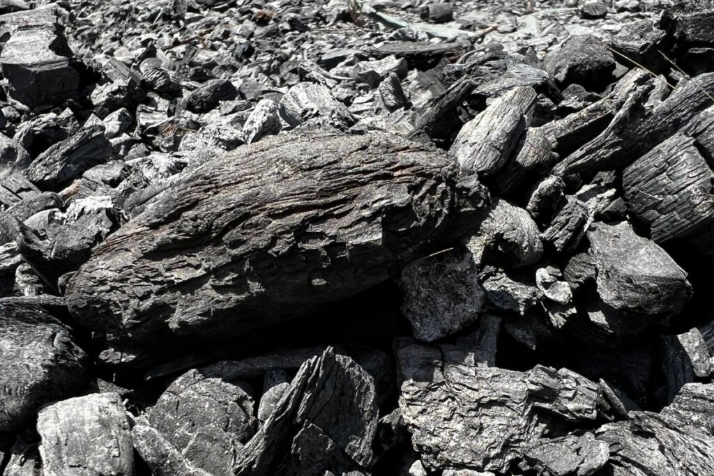 Biochar: plant-based charcoal for a better agriculture