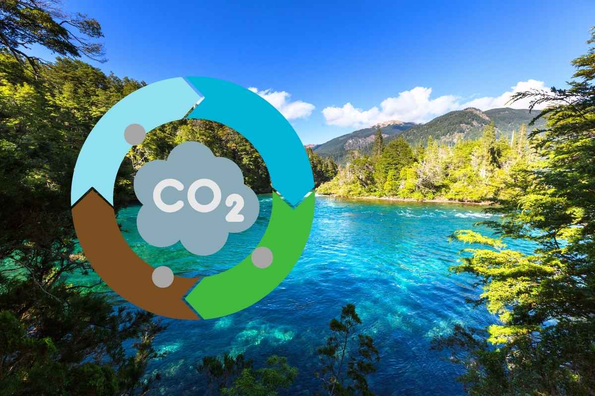 The CO₂ Cycle Across Earth’s Spheres
